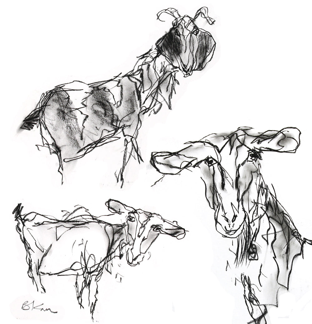 cheeky goats - card & print – Barbara Karn